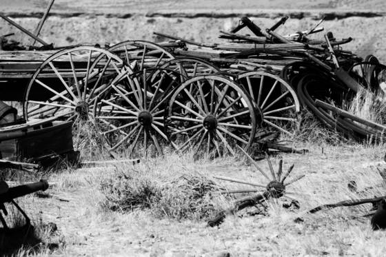 Wagon Bone Yard by Jerry David | Black & White Magazine | For ...