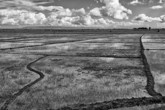 Blessed Fields of Hope by Carlos J. Yunen | Black & White Magazine ...