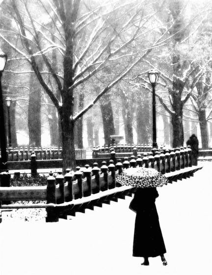 Sheltered from the Storm by Terence Lyons | Black & White Magazine ...