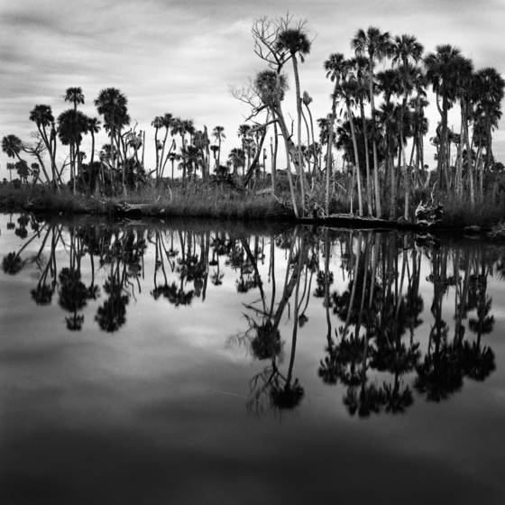 Saltwater Intrusion by Benjamin Dimmitt | Black & White Magazine | For ...