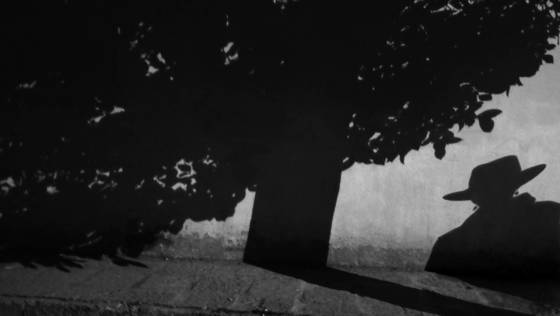 BK Tree by John Duke Kisch | Black & White Magazine | For Collectors of ...