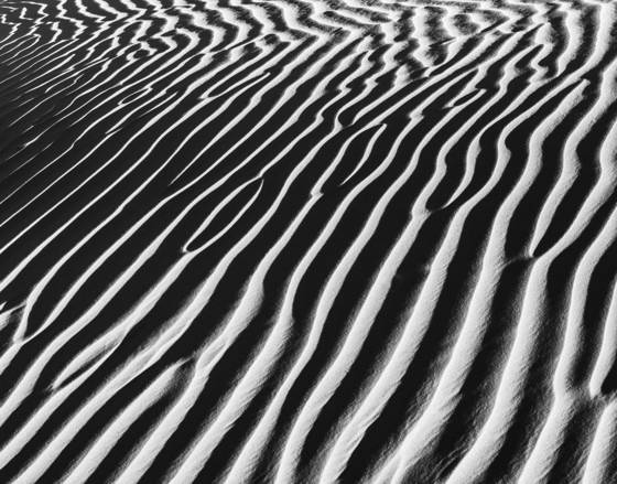 Zebra Sand by Jeff Bader | Black & White Magazine | For Collectors of ...