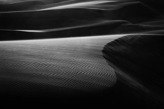 Dune Curves by Dana Bove | Black & White Magazine | For Collectors of ...