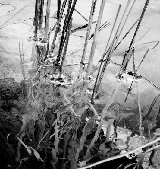 Creekside by Doug Bisson | Black & White Magazine | For Collectors of ...