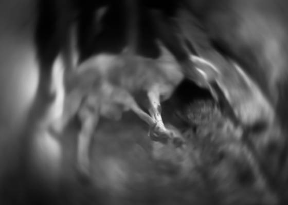 Sad Cycle Of Life by Sebahat Ersoy | Black & White Magazine | For ...