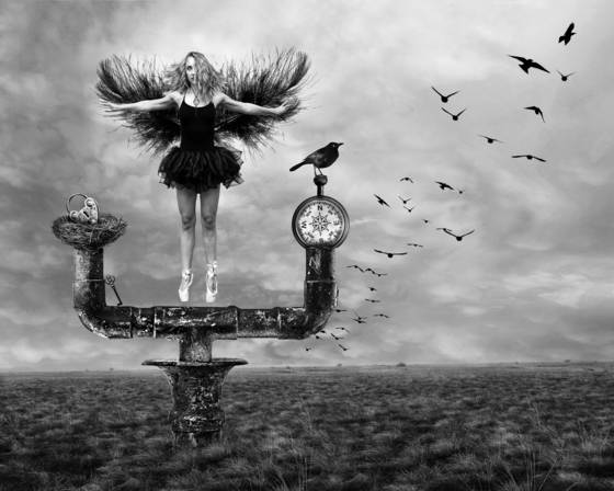 Taking Flight by Jane Vickers | Black & White Magazine | For Collectors ...
