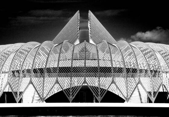 5 Fl. Polytechnic Univ by Joe Constantino | Black & White Magazine ...