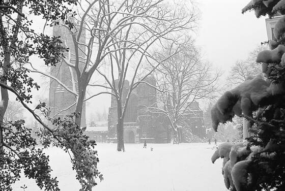 Early Snowfall by Walter Pinkus | Black & White Magazine | For ...