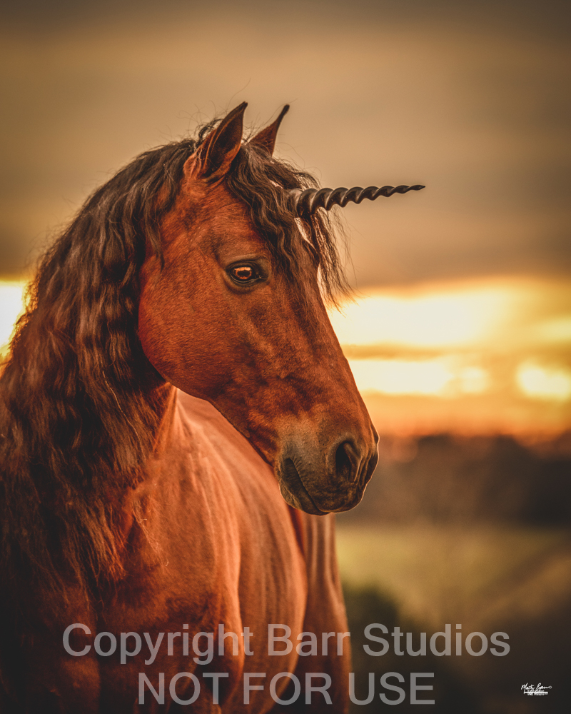 Unicorn Shoot - Clients - barrstudios.com