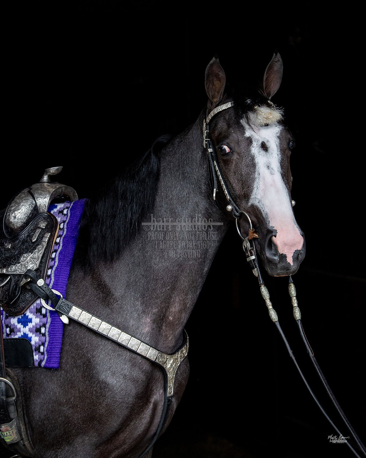 Kyle Maiden Headshots - Clients - barrstudios.com