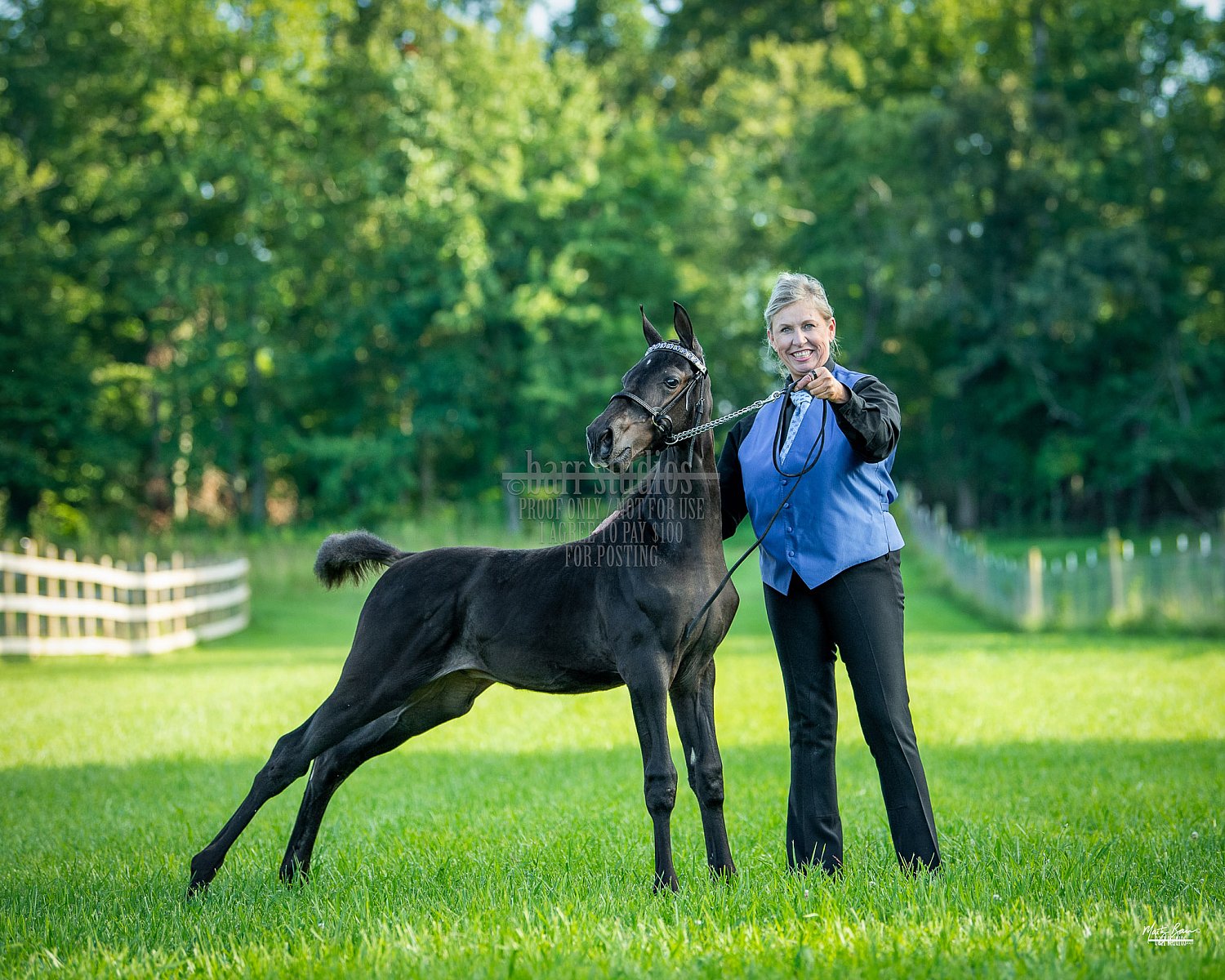 Nick Linder - Clients - barrstudios.com