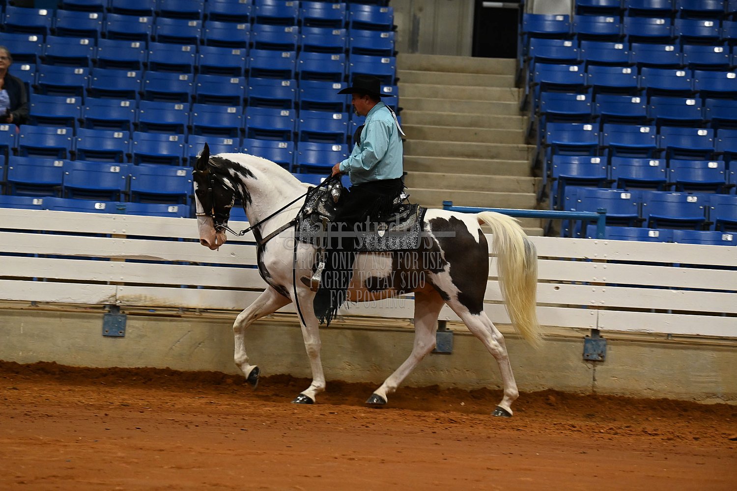 September 19-23, 2023 | 39th Annual Fall World Championship Horse Show - Horse Show Proofs ...