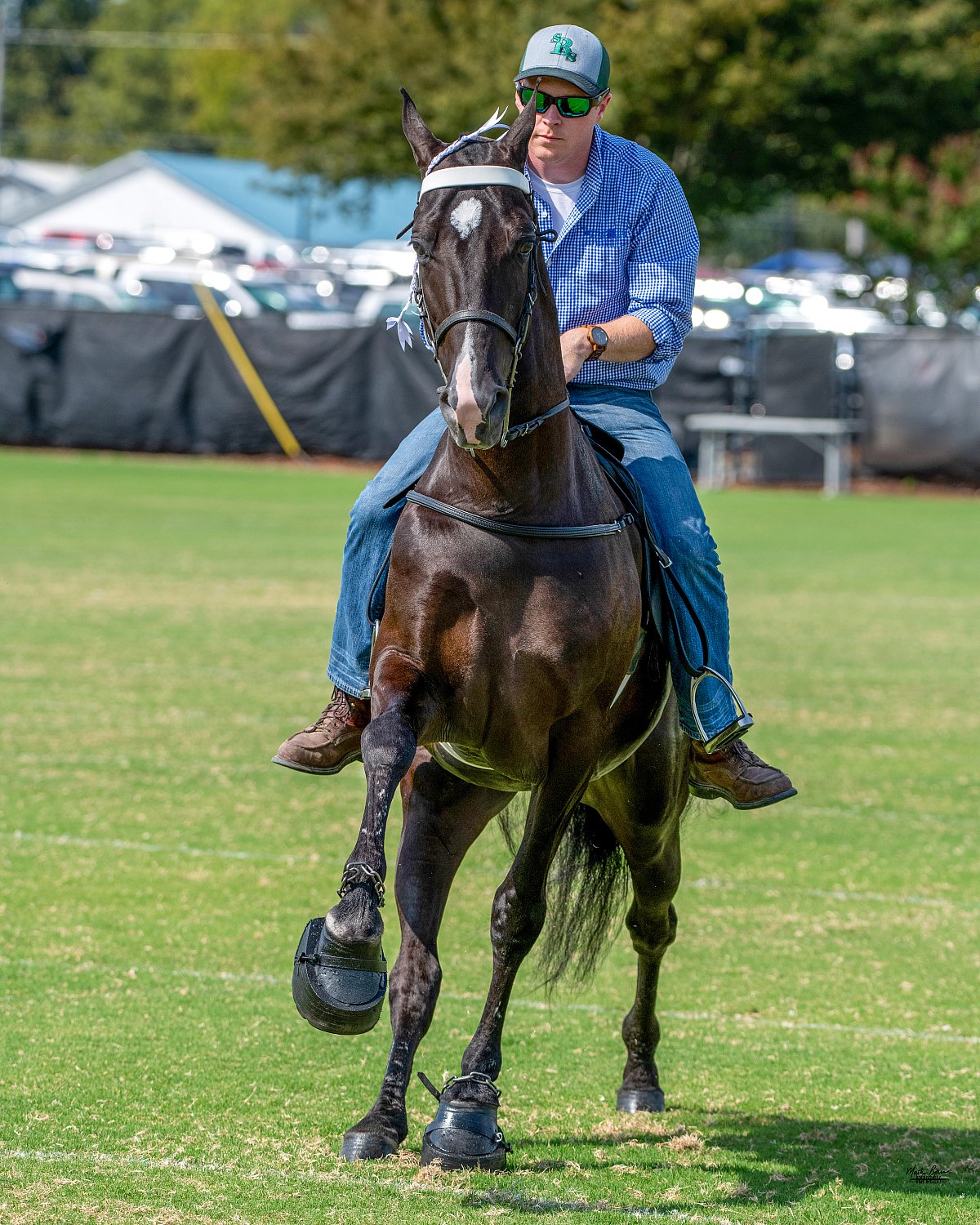 Ally Jo MTSU - Clients - barrstudios.com