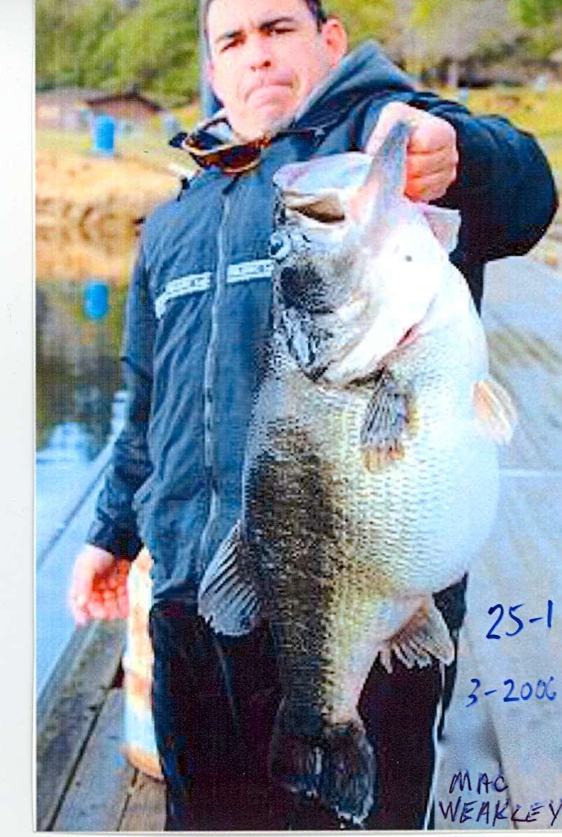 Florida-Strain Bass Changed the World of Bass Fishing - Bass Fishing ...