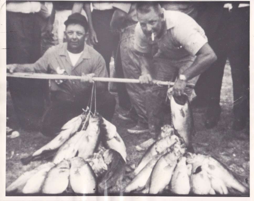 Twig Pigs and Bush Hogs – More Rip Nunnery - Bass Fishing Archives