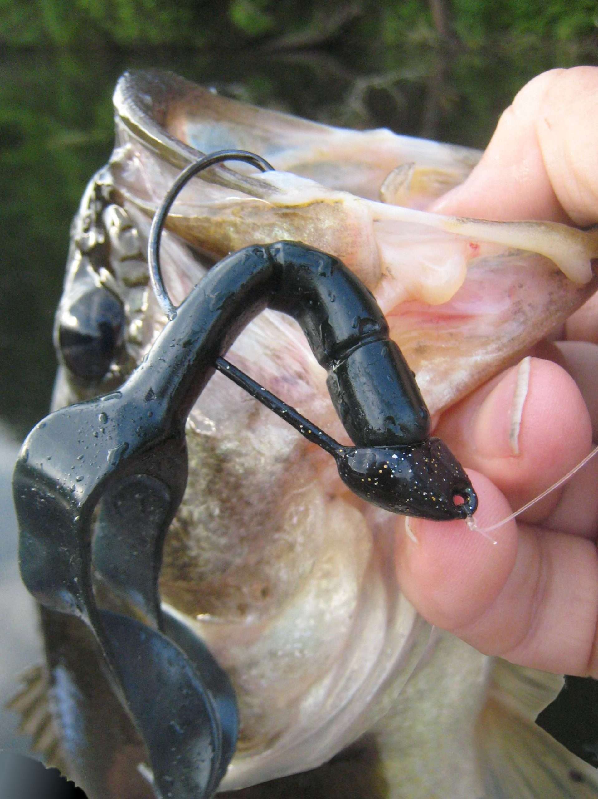 Cat Claw Bait's Super Tail - Bass Fishing Archives Tackle History