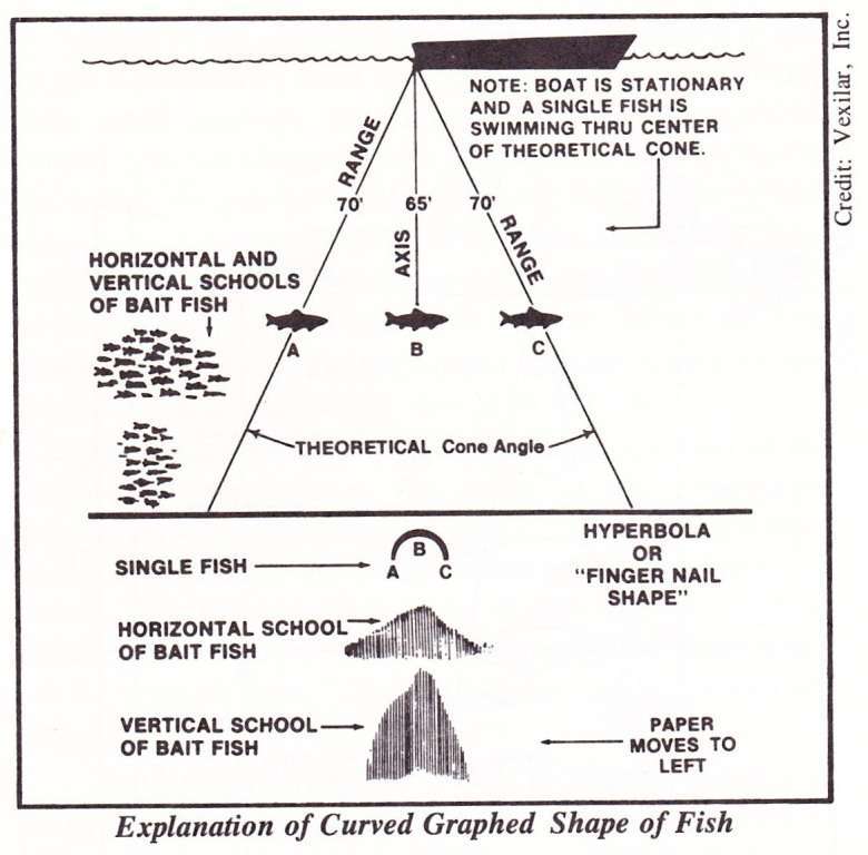 Interpreting Sonar in 1980 - Bass Fishing Archives