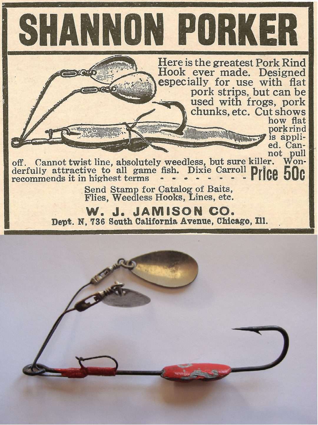 The Shannon – Another Look - Bass Fishing Archives