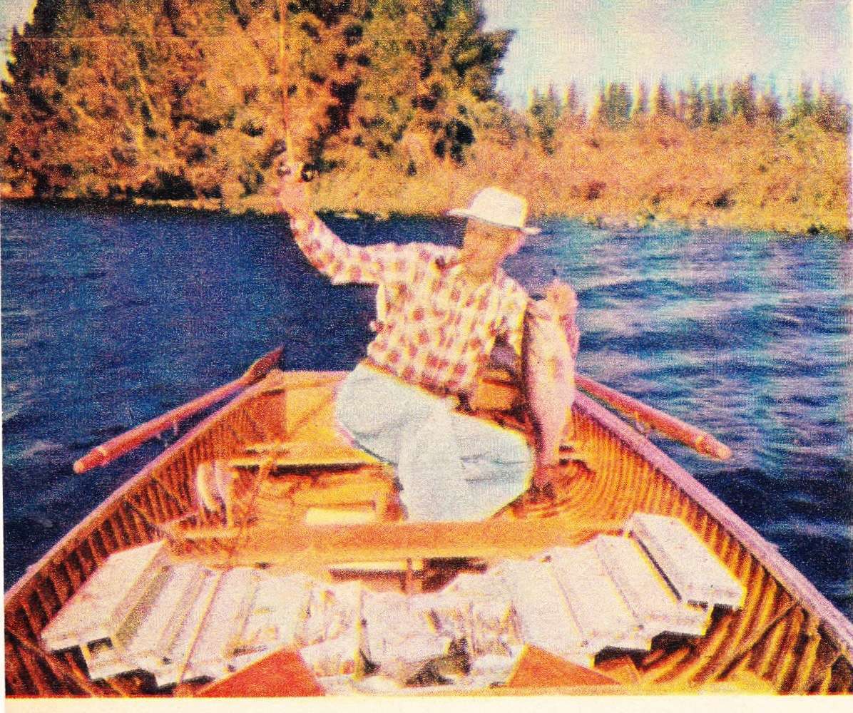 Finding Bass – a la Lucas - Bass Fishing Archives