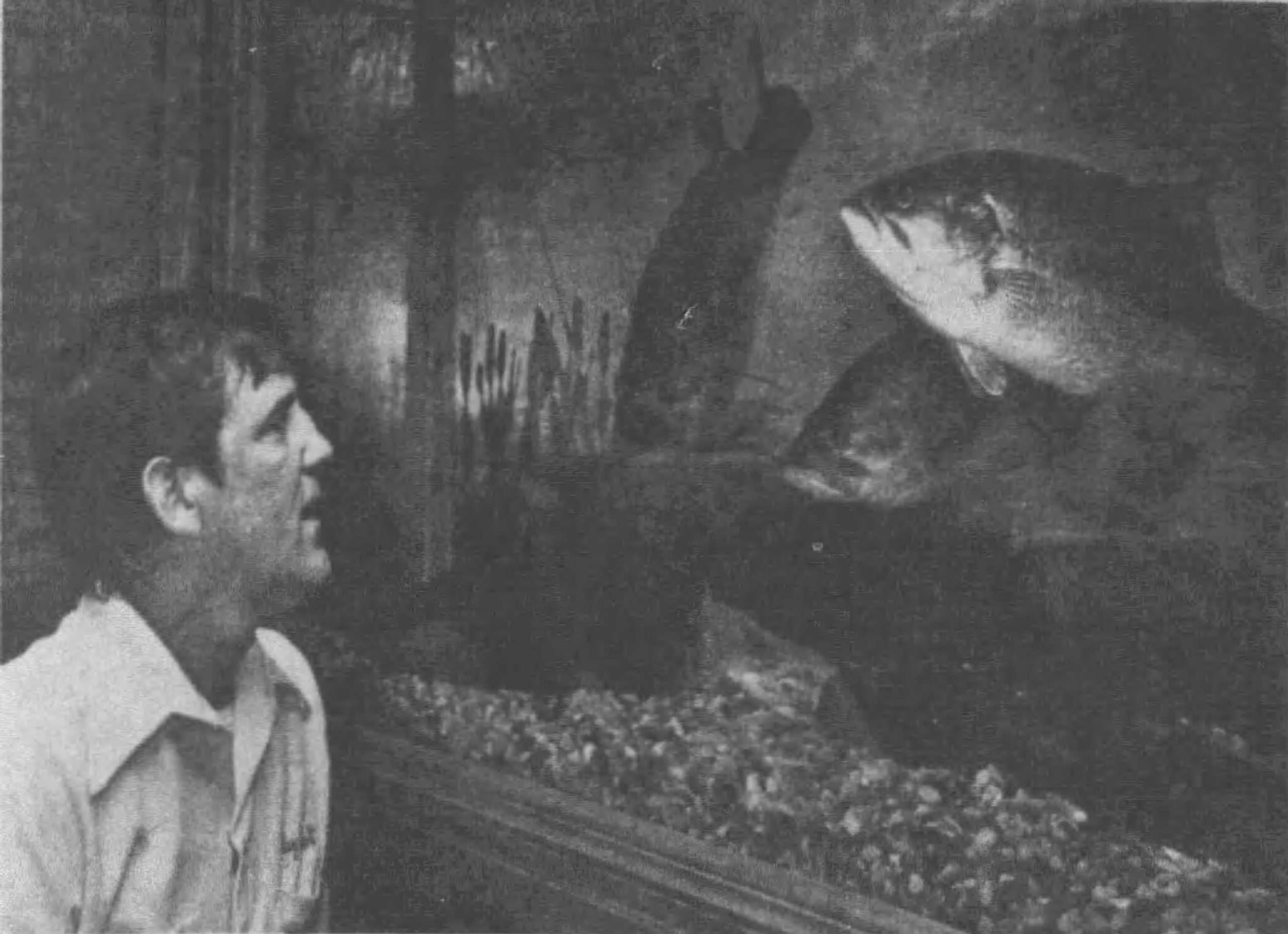 Early Record Chase - Bass Fishing Archives Friday Finale