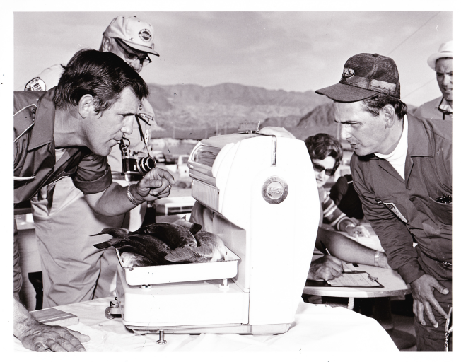 Bass Masters Classics in Photos - Bass Fishing Archives Historic Bass ...