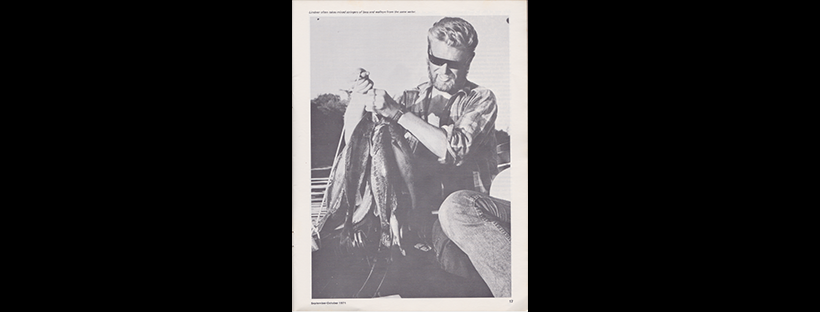 The Bearded Viking – Al Lindner - Bass Fishing Archives Short Strikes