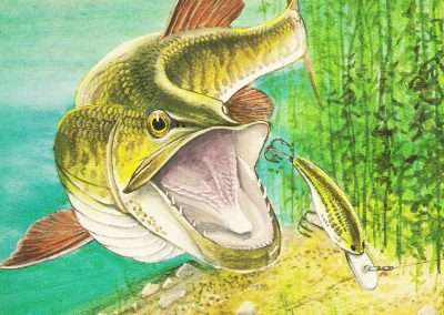 Wiley Miller – Artist Extraordinaire - Bass Fishing Archives Memorabilia