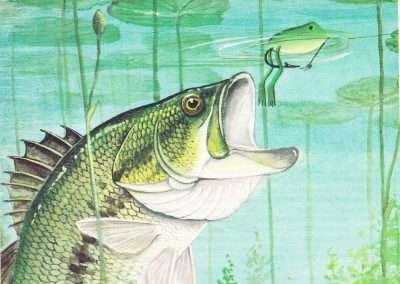 Wiley Miller – Artist Extraordinaire - Bass Fishing Archives Memorabilia