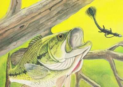 Wiley Miller – Artist Extraordinaire - Bass Fishing Archives Memorabilia