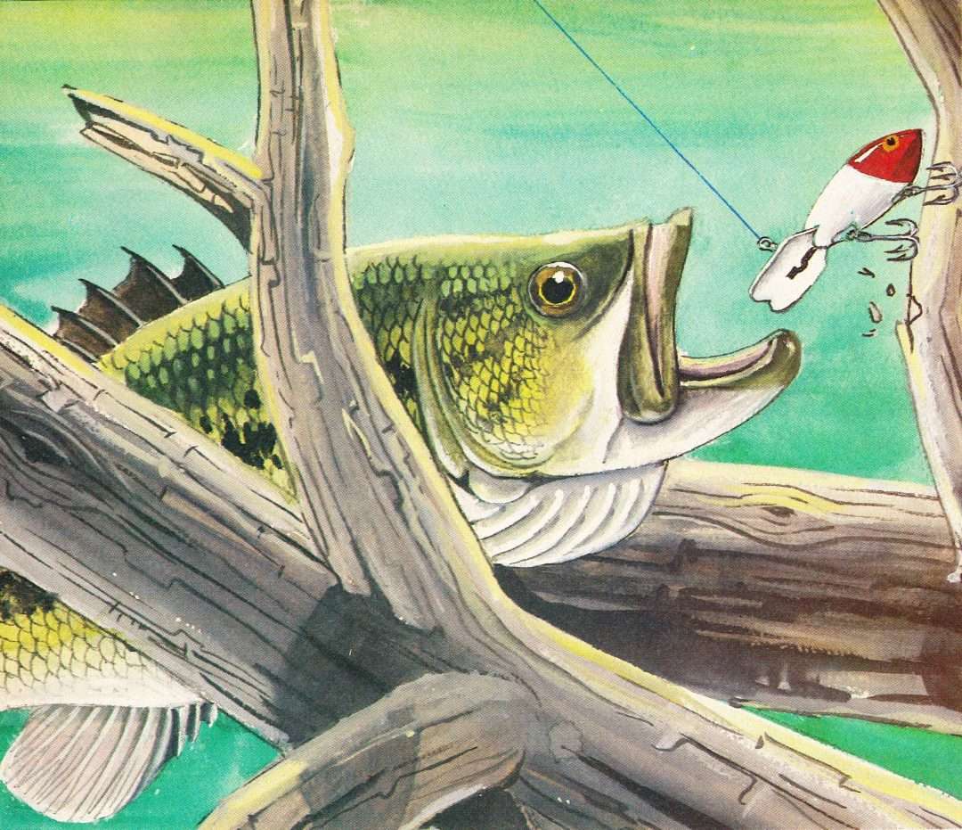 Wiley Miller – Artist Extraordinaire - Bass Fishing Archives Memorabilia