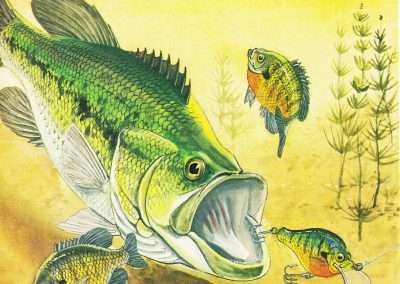 Wiley Miller – Artist Extraordinaire - Bass Fishing Archives Memorabilia