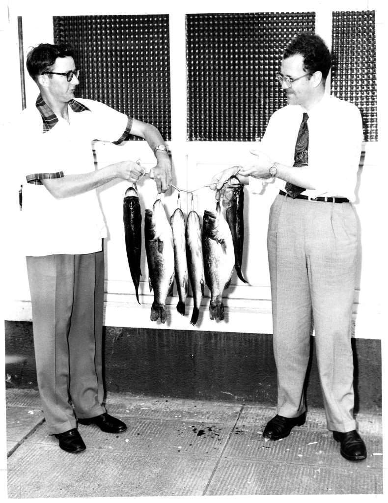 Let's Look Back - Part 12 - Bass Fishing Archives Let's Look Back