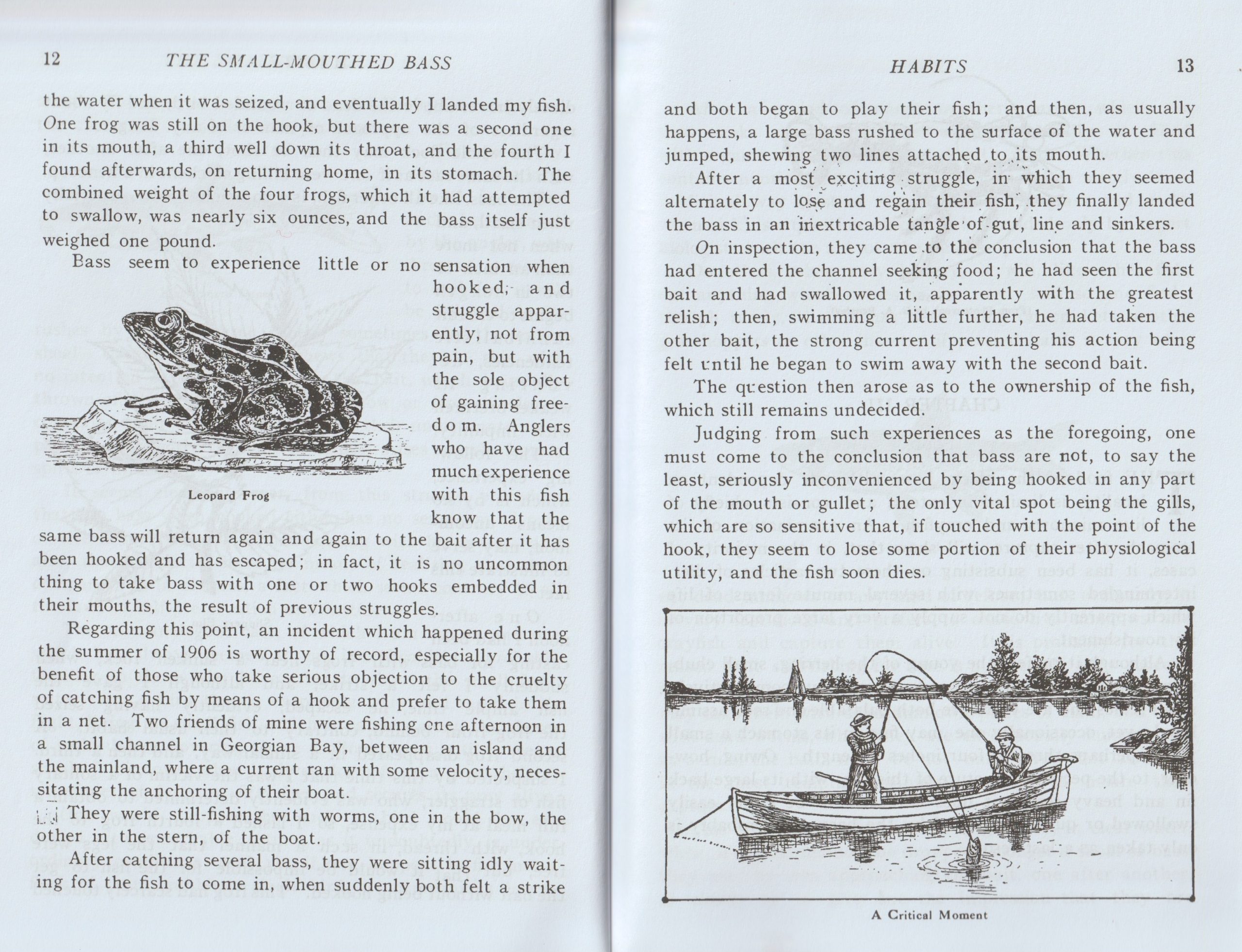 The Small-Mouthed Bass by W.J. Loudon - Bass Fishing Archives Book Reviews