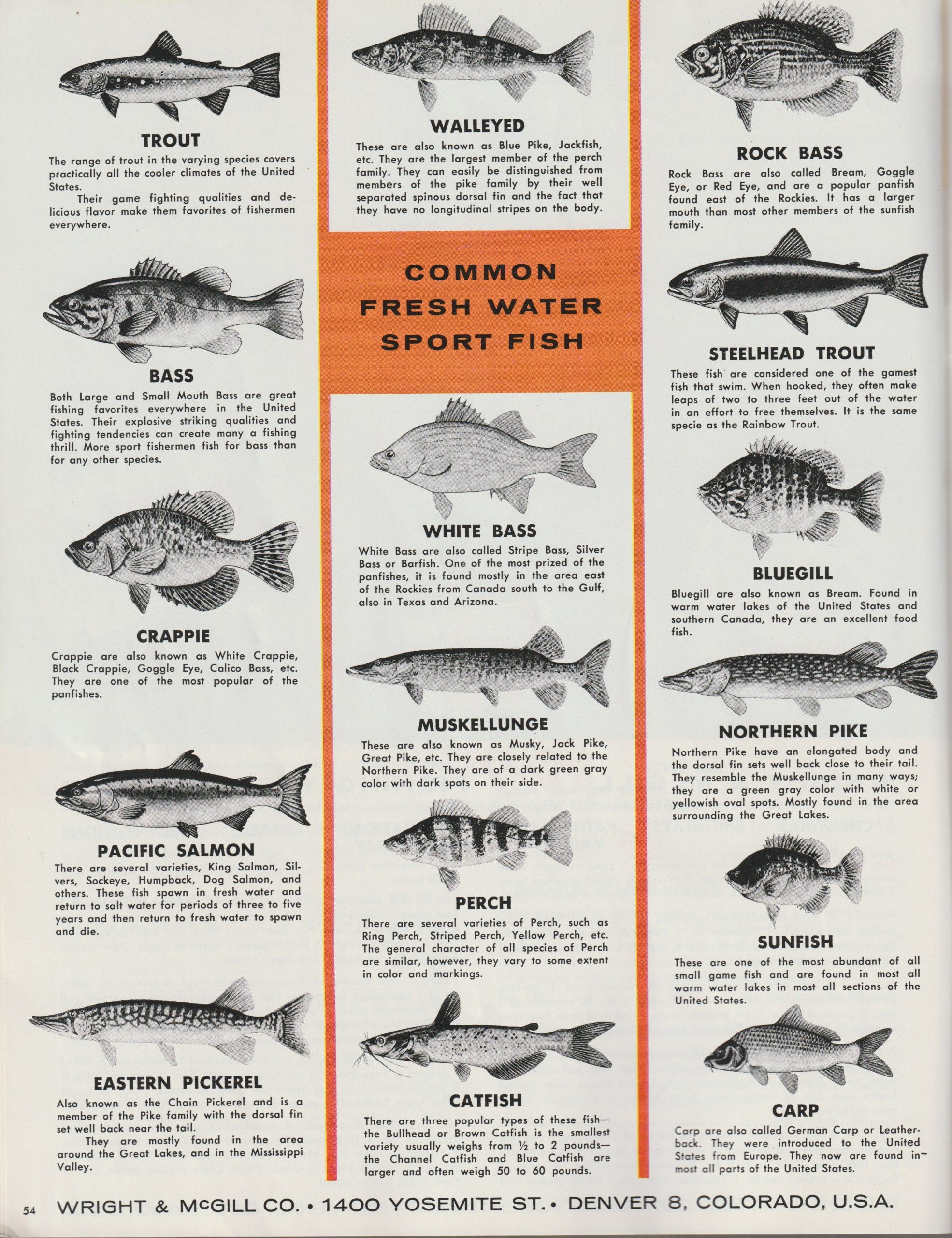 Wright & McGill Catalog 1962 - Bass Fishing Archives