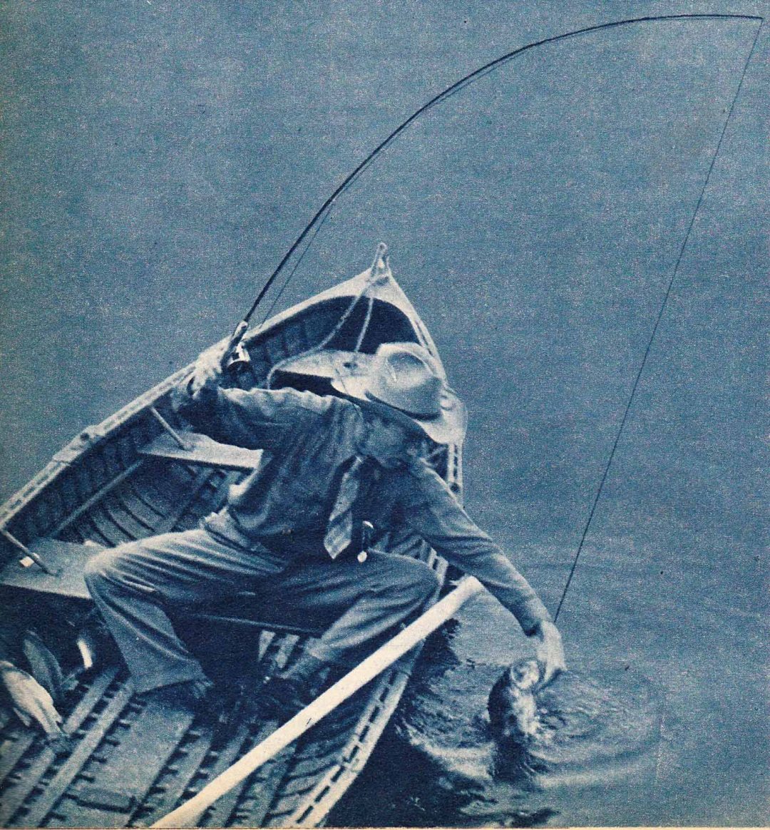 Lucas The Series 2 - Bass Fishing Archives Short Strikes