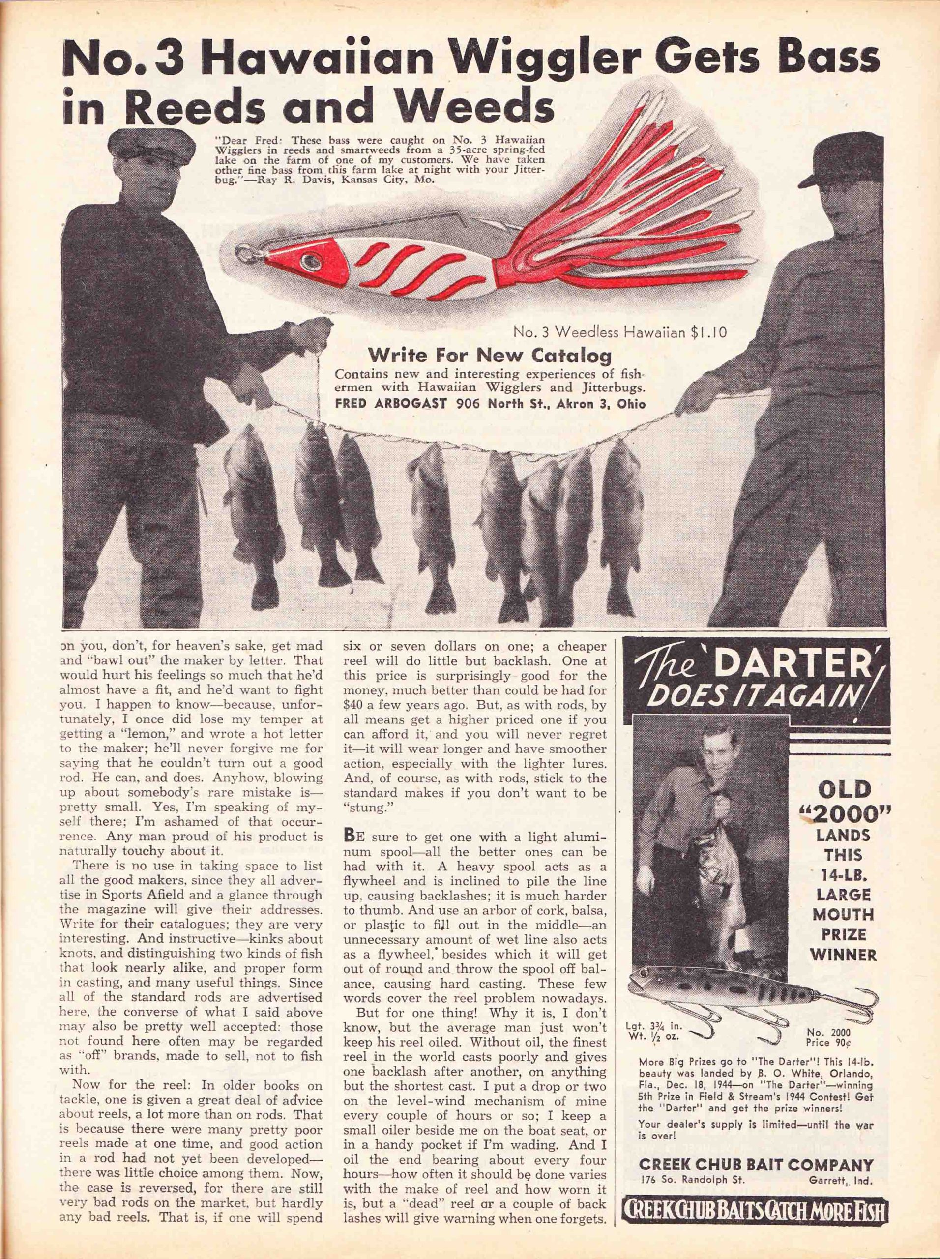 Lucas The Series 4 - Bass Fishing Archives Short Strikes
