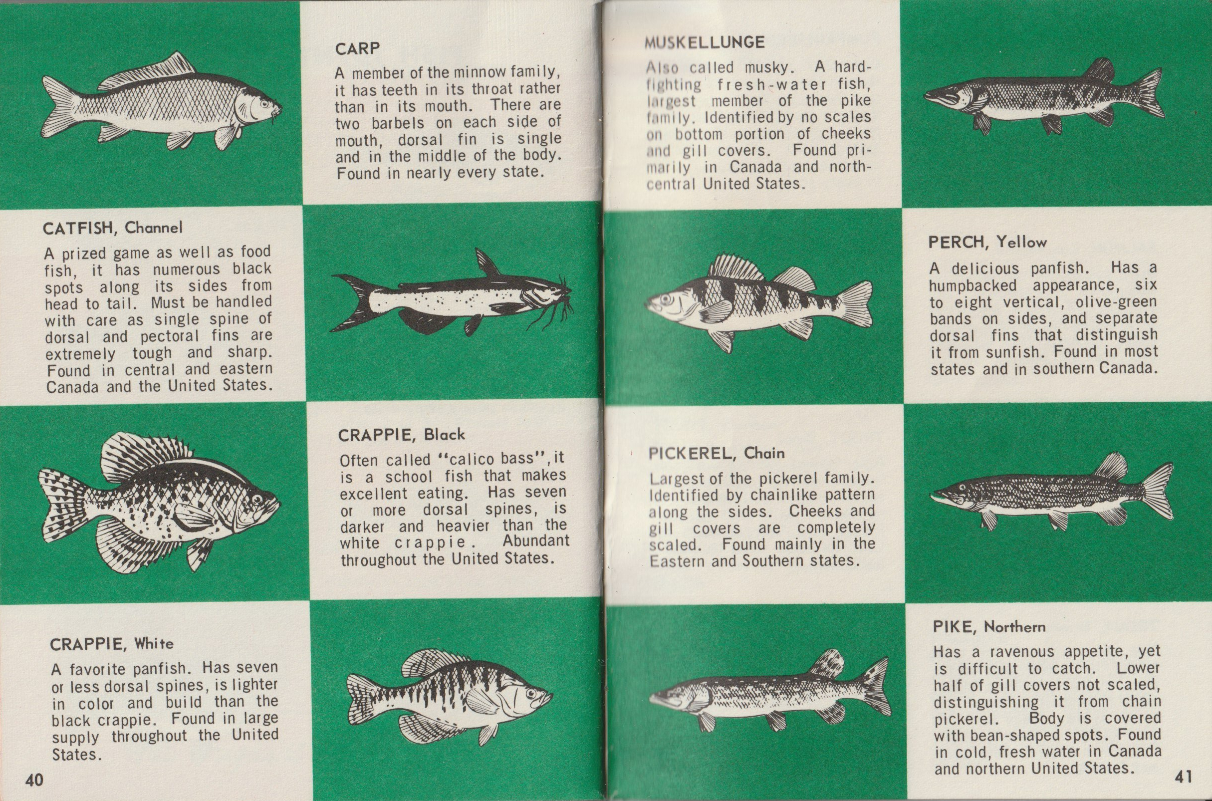 Lazy Ike - Lure of Fishing - Bass Fishing Archives Bass Tackle Catalogs