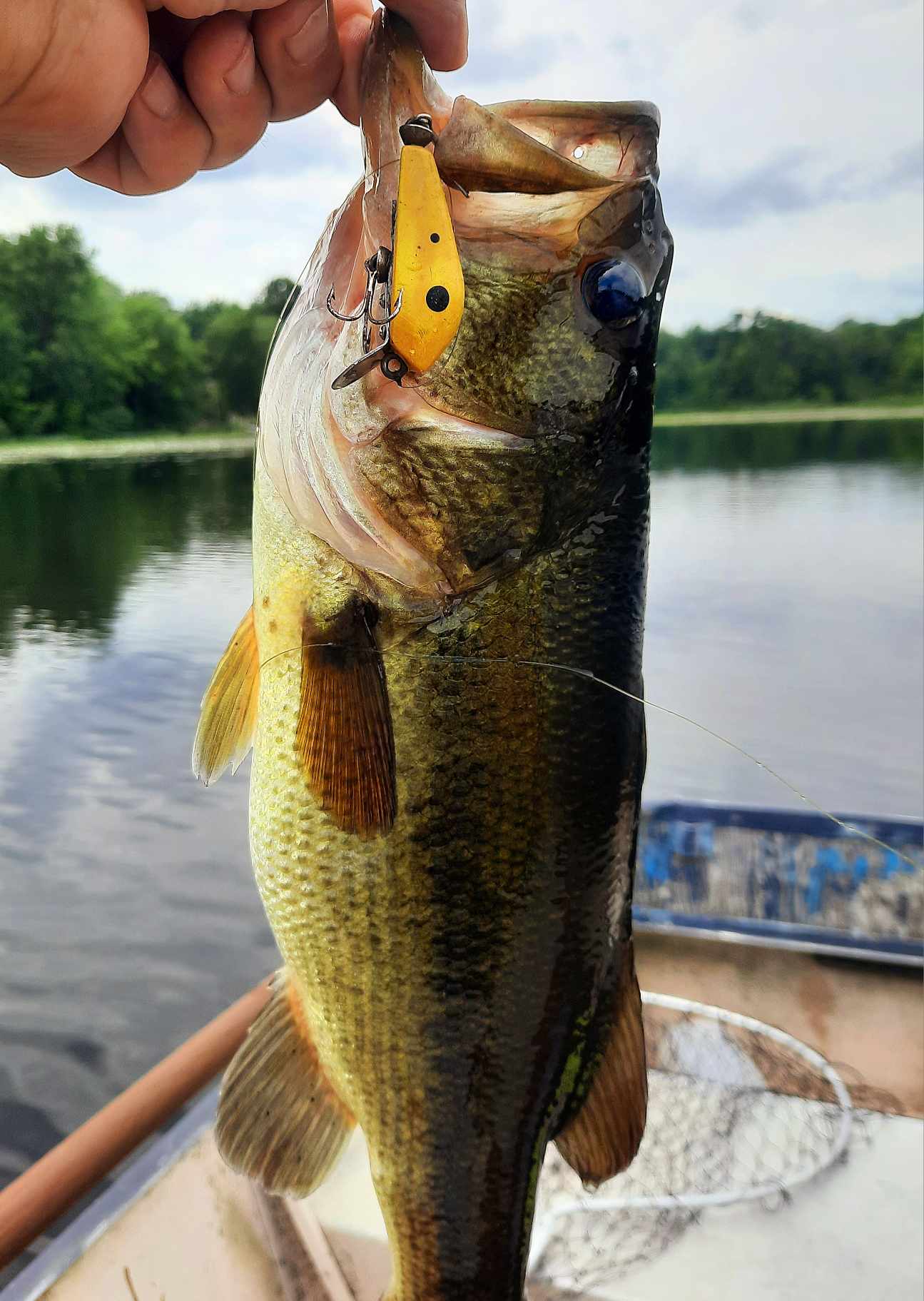 Dyna-Mite Bass Lure - Bass Fishing Archives Tackle History