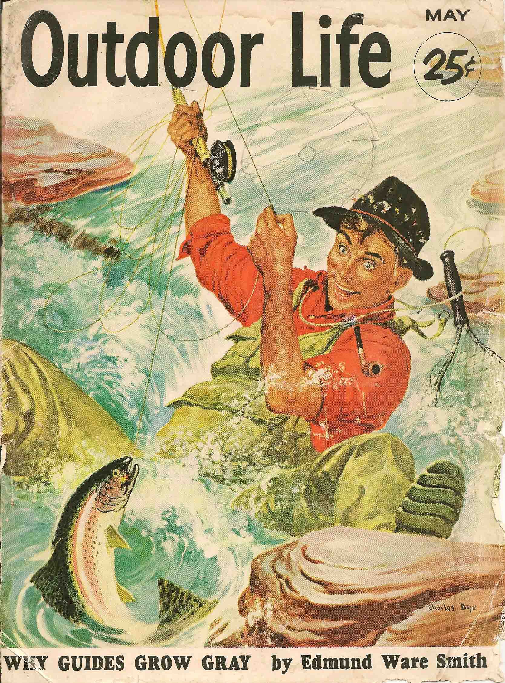 An Older Bait Gets a New Life – and Then Another - Bass Fishing ...