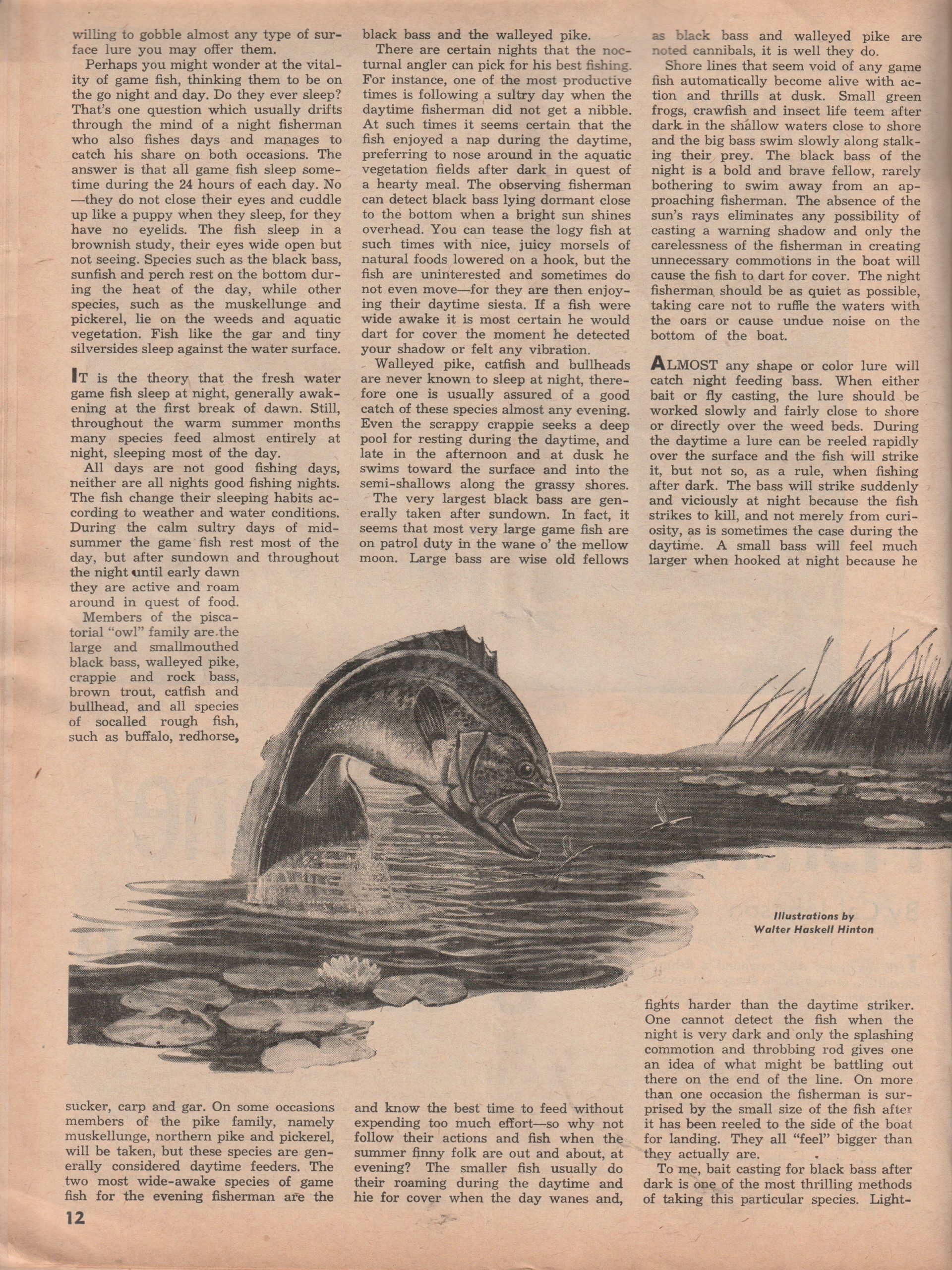 Wane o’ the Moon - Bass Fishing Archives The Writers