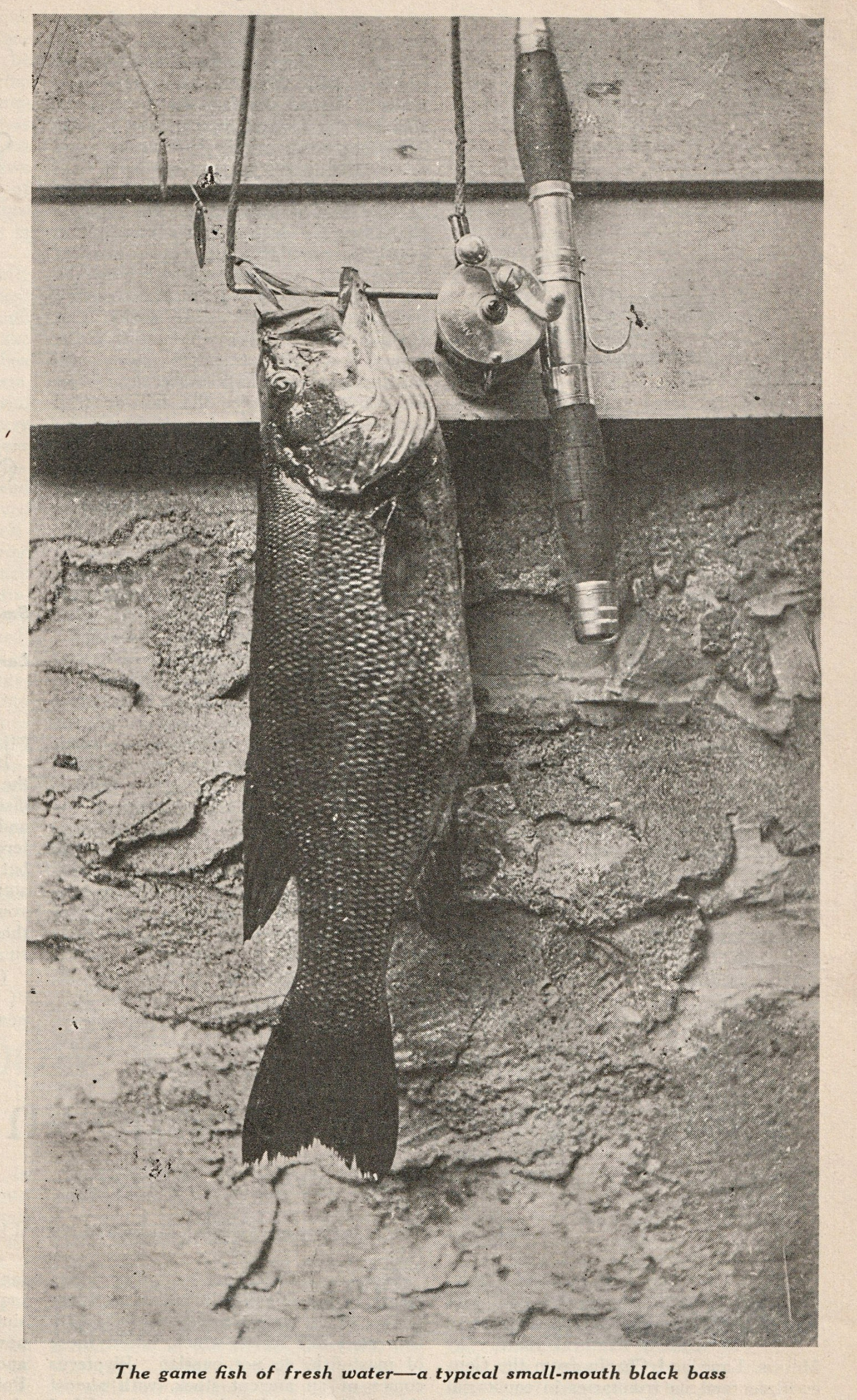 Sheridan Jones First Editorial, Part 4 - Bass Fishing Archives The Writers