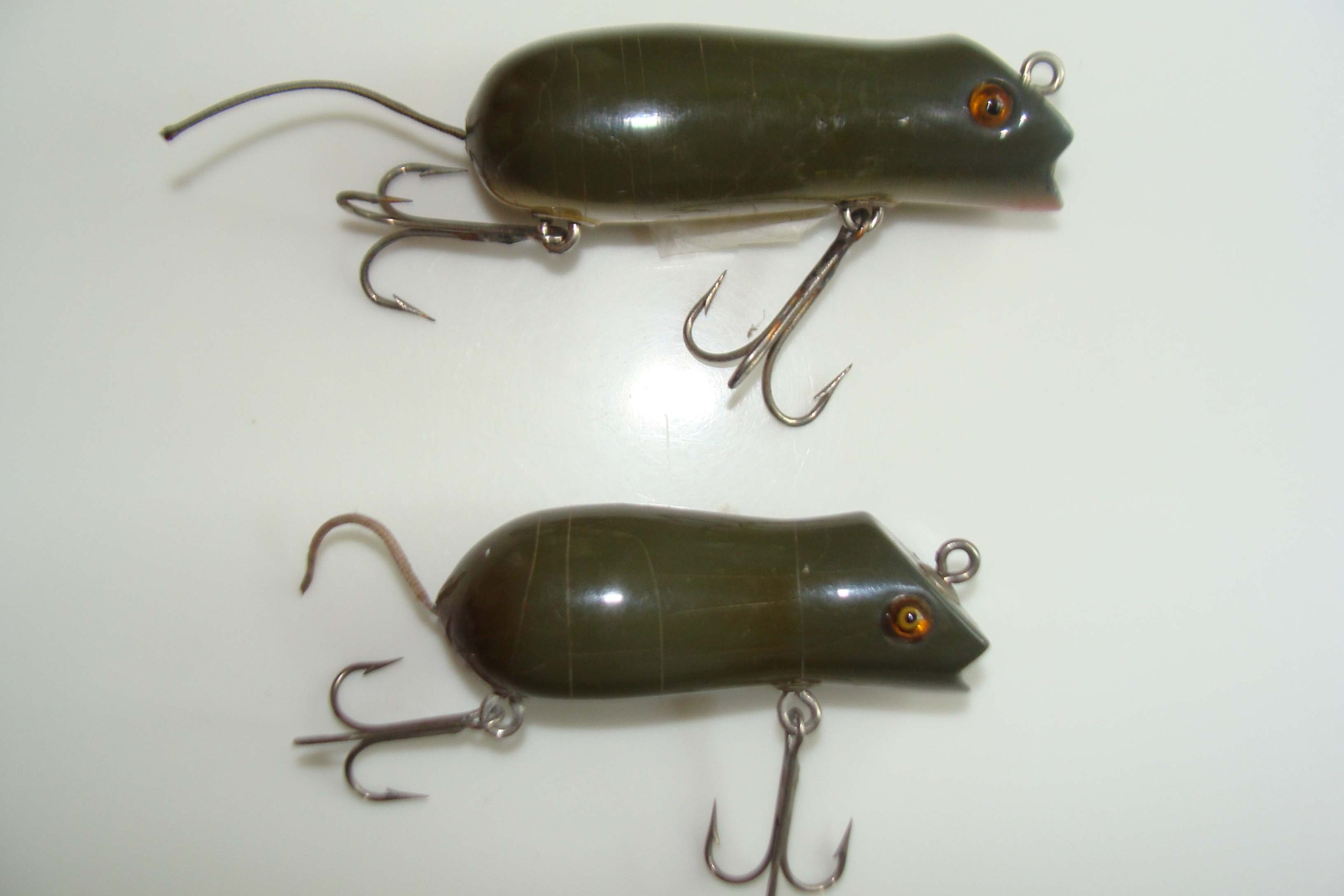 Shakespeare Swimming Mouse Part 3 - Bass Fishing Archives Sunday Sonnett