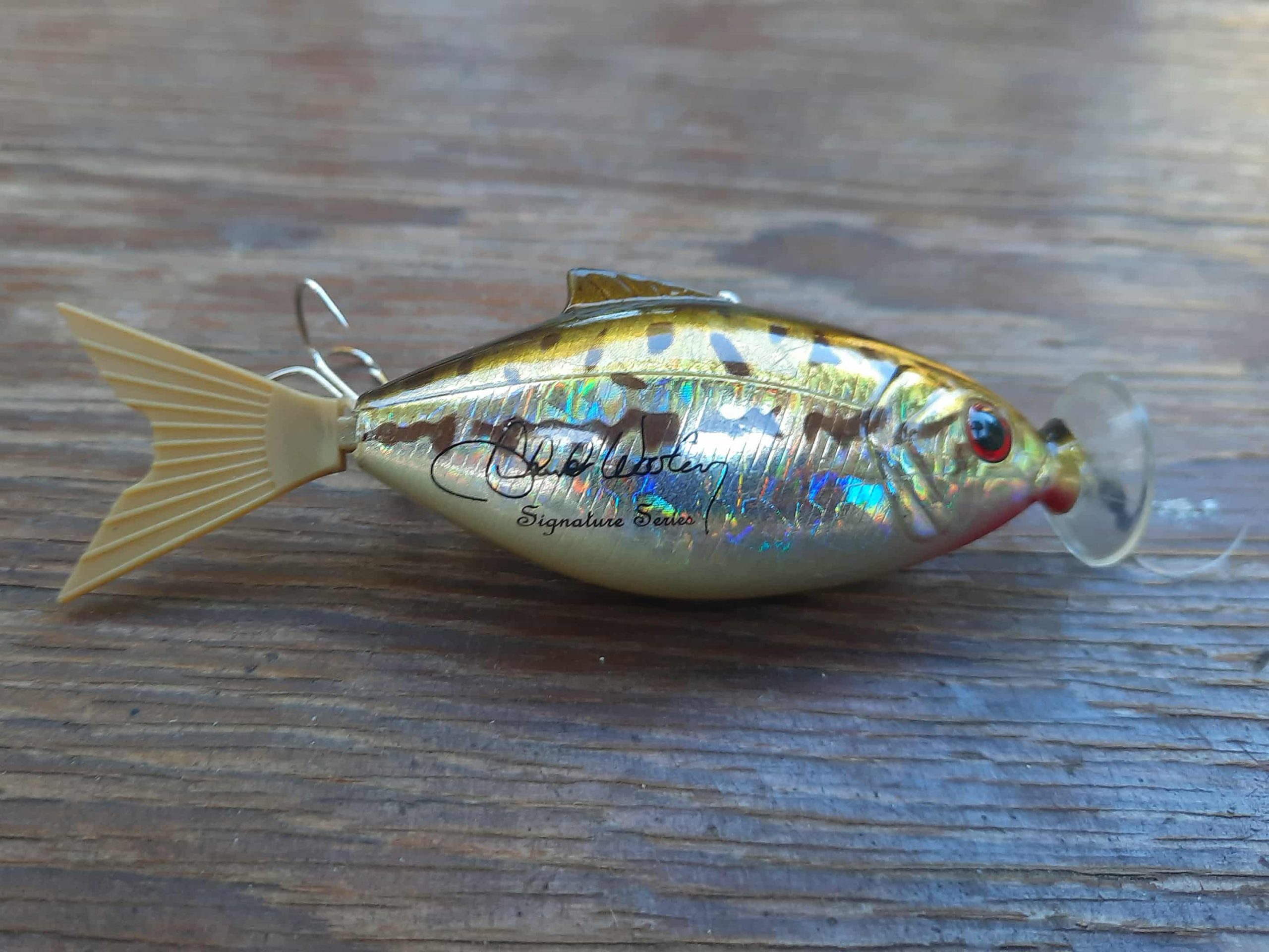 Chuck Woolery Moto Minnow - Bass Fishing Archives Gimmick Bass Tackle