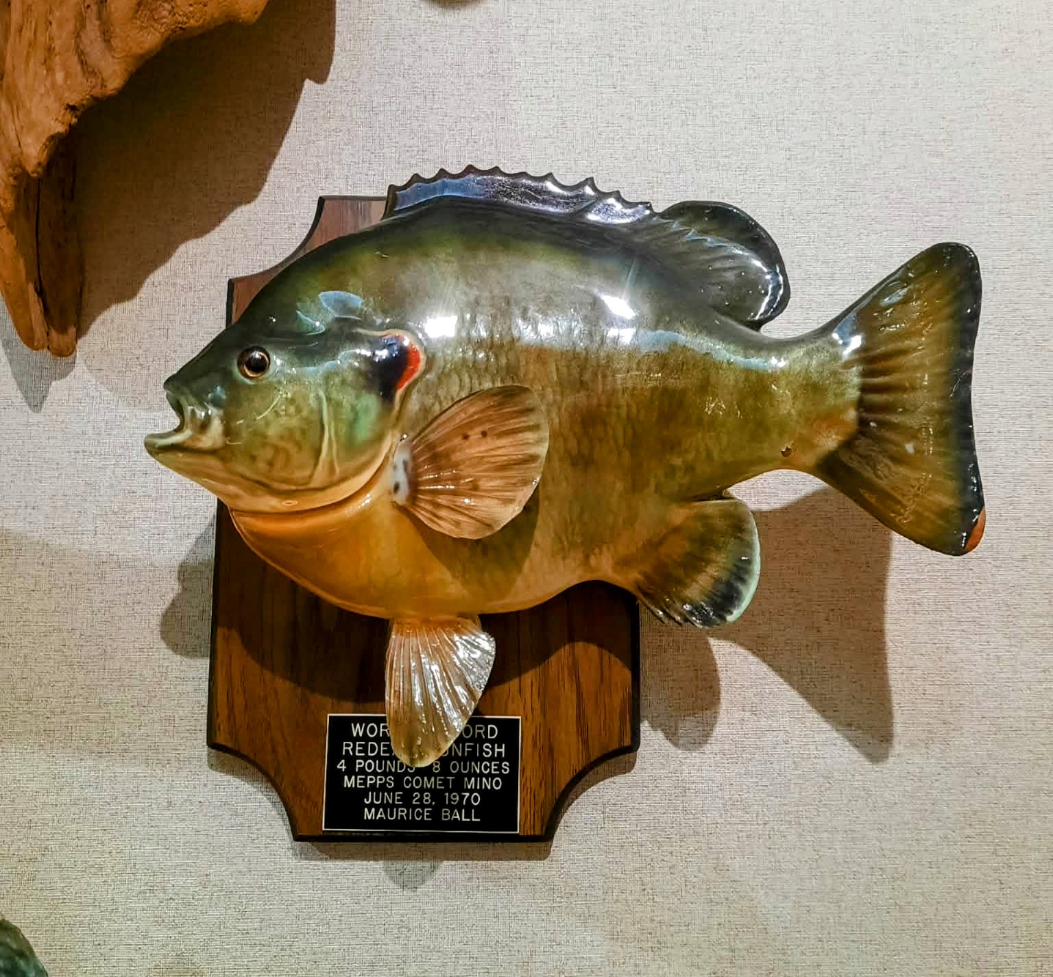Mepps Mino - Bass Fishing Archives Tackle History