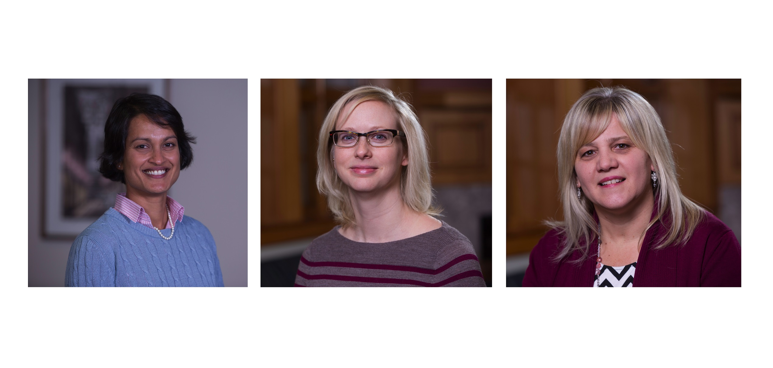 2016 Faculty Awards | Bay Path University