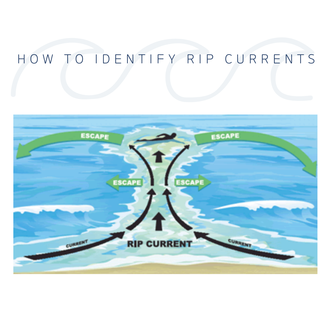 How to identify, avoid and survive rip currents