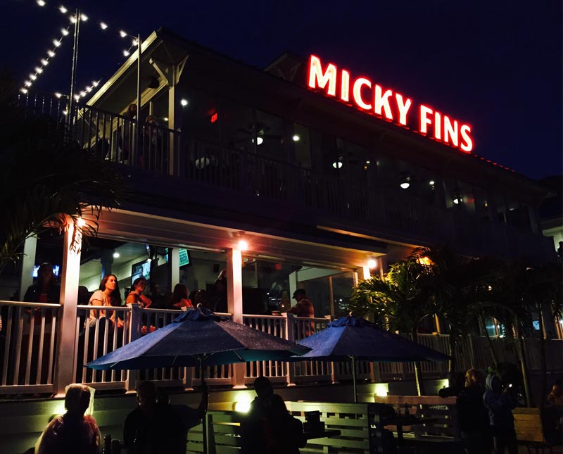 Micky Fins