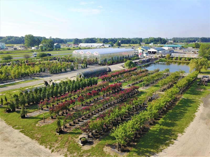 Wholesale | How Sweet It Is Produce Market, Eden, MD