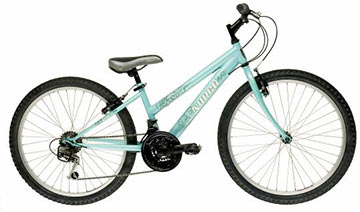 2009 Norco Roxy - Bicycle Details - BicycleBlueBook.com