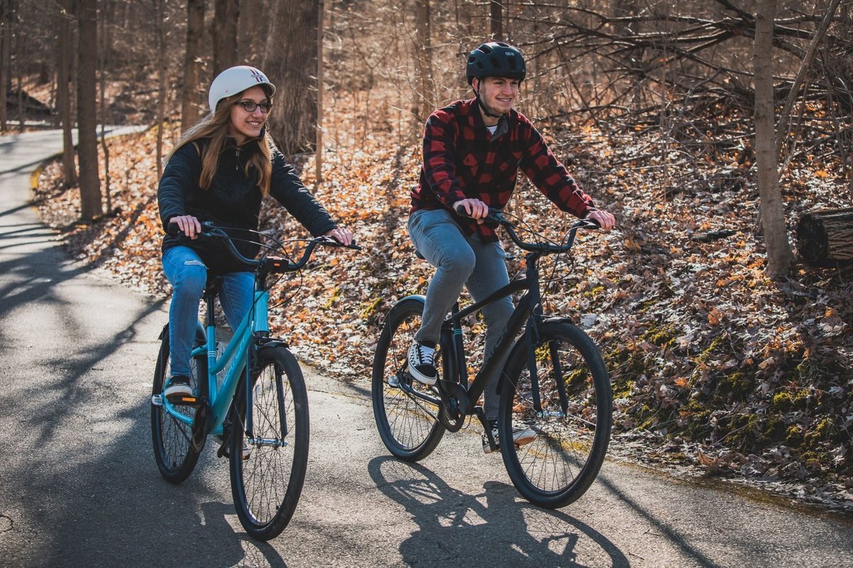 2021 Batch Bicycles - Bicycle Details - BicycleBlueBook.com